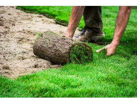 LS GaLaBau Storkow | Telefon | Adresse