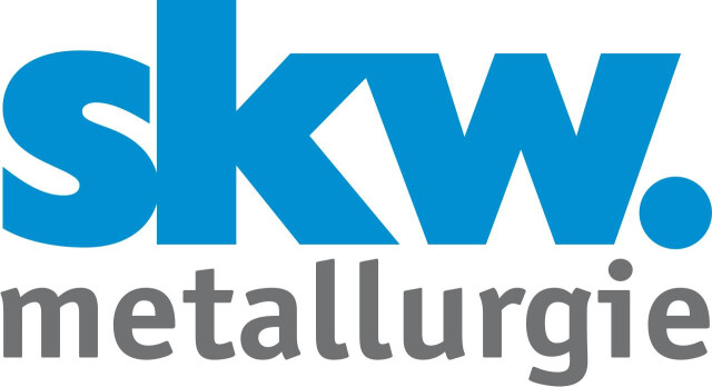 Skw Metallurgie Logo Ines Kolmsee Münchner Management Kolloquium